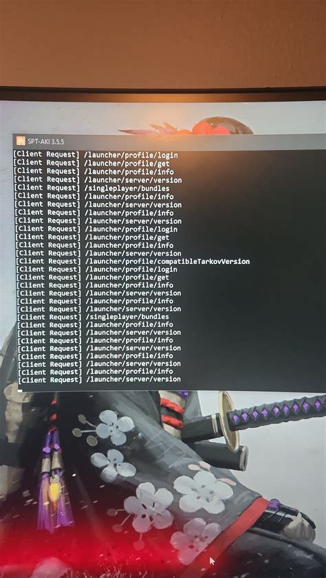 Infinite Loading Screen Rsptarkov