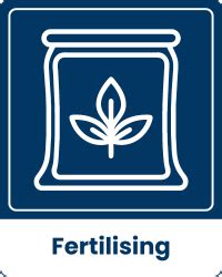 Help Advice Engall S Nursery