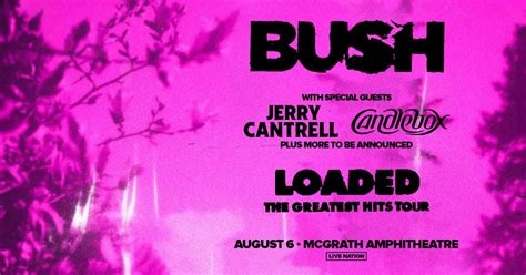 Bush First Fleet Concerts