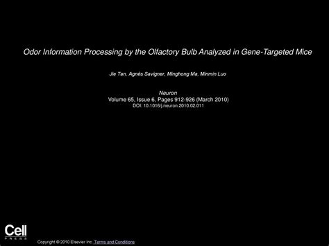 jie tan agnès savigner minghong ma minmin luo neuron ppt download