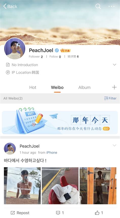 조엘 on Twitter my first Weibo 위보 is this right little hard to use this social media https