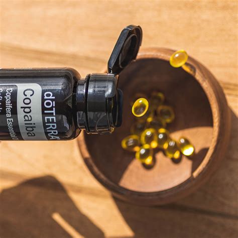 The Science Of Copaiba Softgels Dōterra Essential Oils