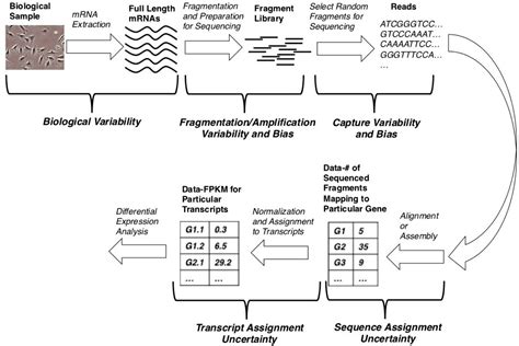 biosensors free full text a comparison of methods for rna seq differential expression