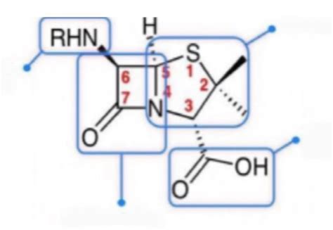 Flow Sheet Diagram Of Penicillin Process Flow Diagram For Pr