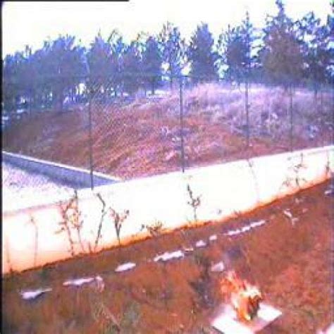 Objectdetection Object Detection Dataset And Pre Trained Model By Manish