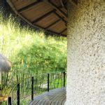 Naked Gallery Ecological Creation Technology By Xiaohui Design Studio
