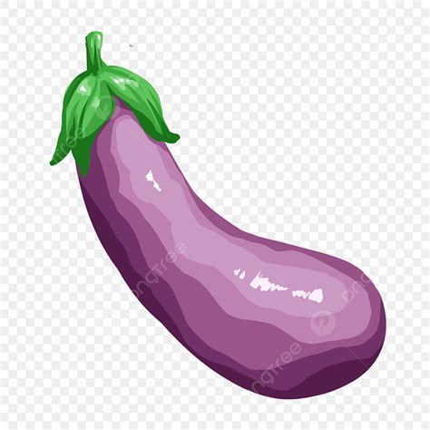 Purple Eggplant Fresh Vegetables Cartoon Illustration Hand Drawn