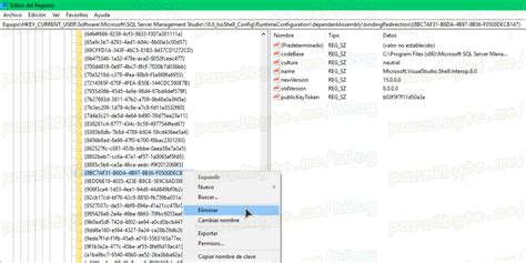 Sql Server Management Studio Se Cierra Al Iniciar Soluci N A Ssms