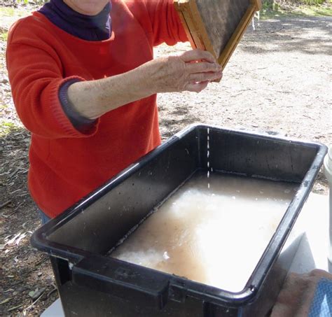 Papermaking 101 Art From The Urban Wilderness