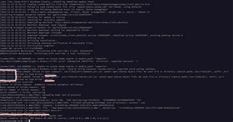 Steam Not Launching Libgl Error Rvoidlinux