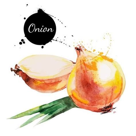 Pin By GabrielaDz On Alimentos FRUTAS Y VERDURAS Watercolor