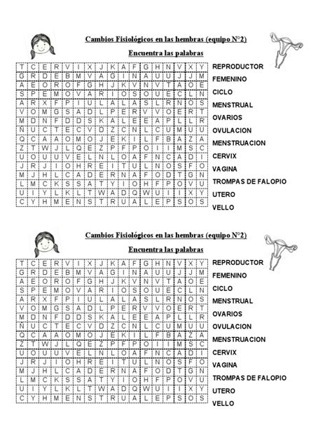 Sopa De Letras Sistema Reproductivo Femenino Pdf