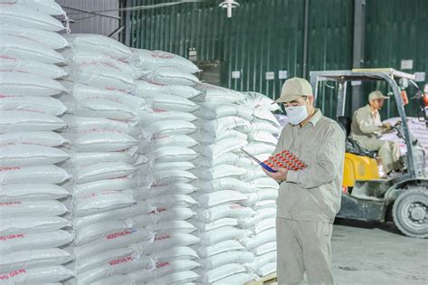Vietnam High Quality Caco3 Filler Masterbatch For Moulding Processes Pe
