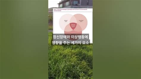 정신장애와 이상행동에 영향을 주는 세가지 요소 Youtube