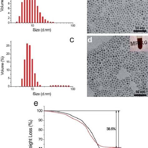 Particle Size Distribution By Dls And Corresponding Tem Image A And B