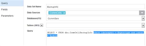 Associating The Report Input With The Data Set