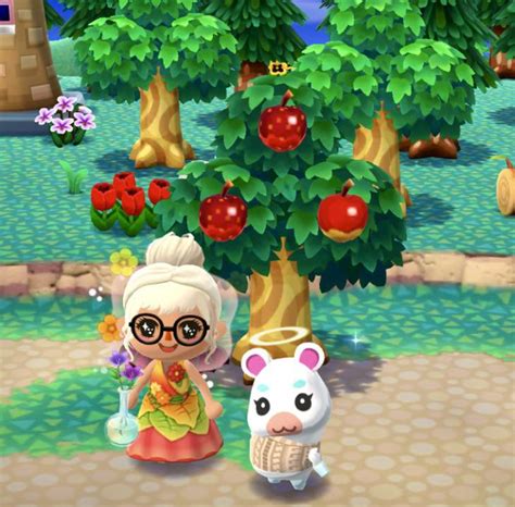 My Lucky Day 🍎 R Acpocketcamp