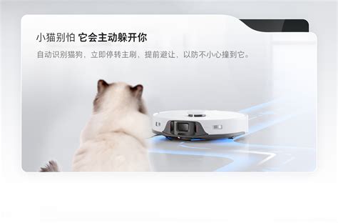 石头科技官方商城