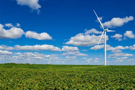 Wind Turbines Stand Over A Field Of Soybean Plants In Missouri Stock