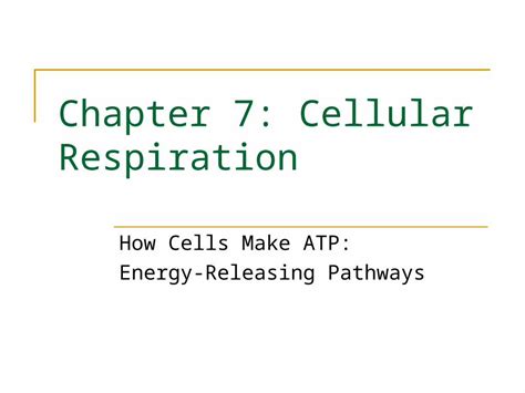 Ppt Chapter 7 Cellular Respiration How Cells Make Atp Energy