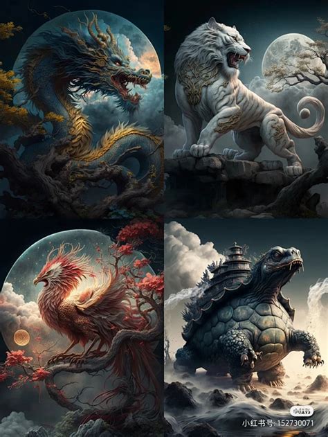 青龙 白虎 朱雀 玄武 花瓣网
