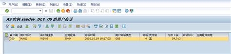 sm04 在线用户管理（踢人事务） sap sm04 csdn博客