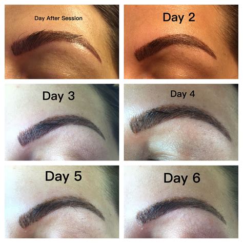 Microblading Healing Chart Ponasa
