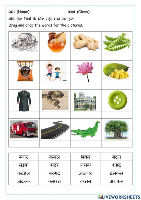 3 और 4 अक्षर वाले शब्द Worksheet Hindi Worksheets 1st Grade