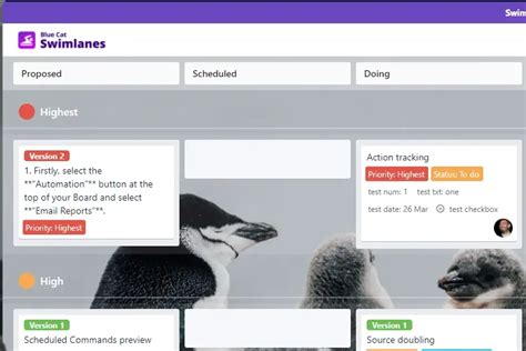 Ad Hoc Projects Blue Cat Reports