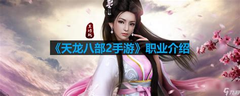 《天龙八部2手游》职业介绍天龙八部2手游九游手机游戏