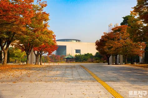 포토친구 가을로 물든 길