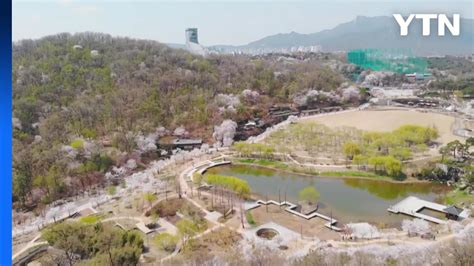 서울 서울시 매력·동행가든 1000여 곳 조성 Ytn Youtube