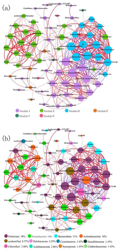 Microbial co-occurrence network in EAD a modularity shading b Shading... | Download Scientific ...