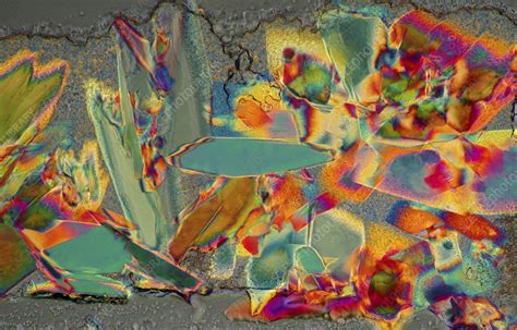 Lactose Crystals Polarised Light Micrograph Stock Image C Science Photo Library
