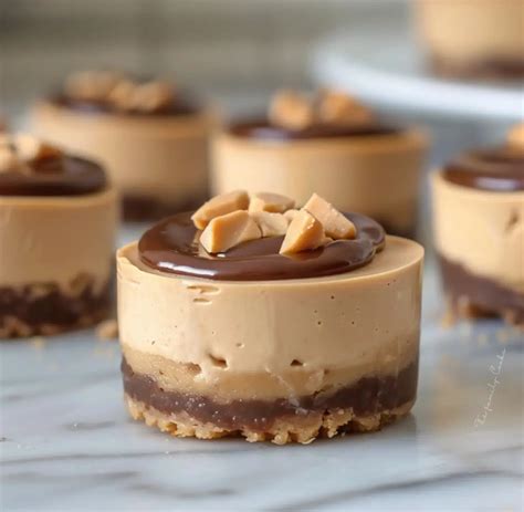 Mini Peanut Butter Cheesecakes Vlietme