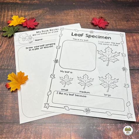 Leaf Specimen Science Activity