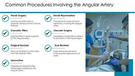 Angular Artery Facial Artery Ppt Graphics Acp