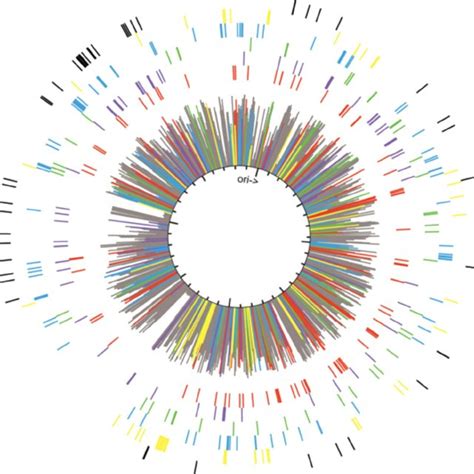 Genome Map Of The Positions Of Genes Clustered By Regression Analysis