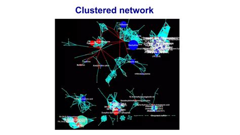Metabolic Network Mapping For Metabolomics Pptx