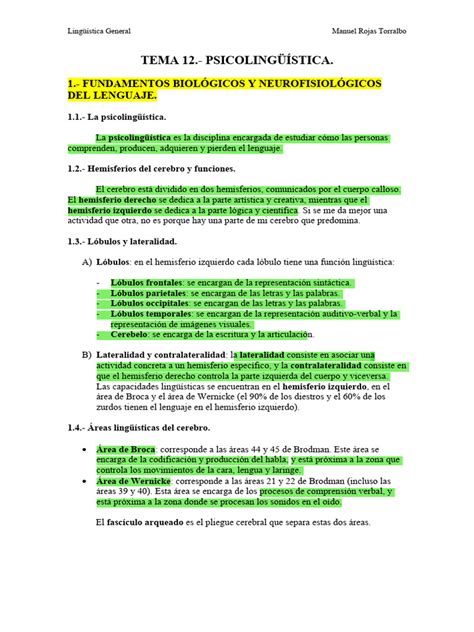 Lingüística General Tema 12 Pdf