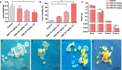 In Vivo Efficacy Of Pyronaridine Pnd Against Secondary Infection Download Scientific Diagram