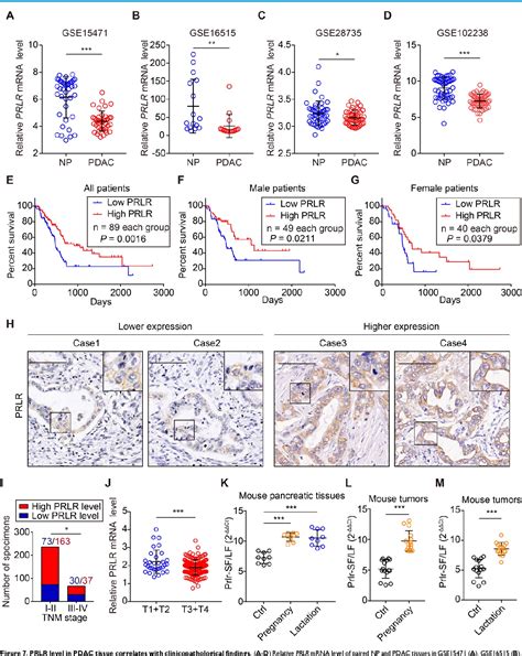 Figure 7 From The Short Isoform Of Prlr Suppresses The Pentose