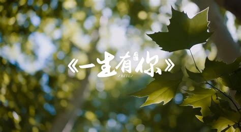 学校举行建校126周年暨校友值年返校大会 北京交通大学新闻网