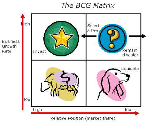 Management Guru BCG MATRIX PORTFOLIO MATRIX