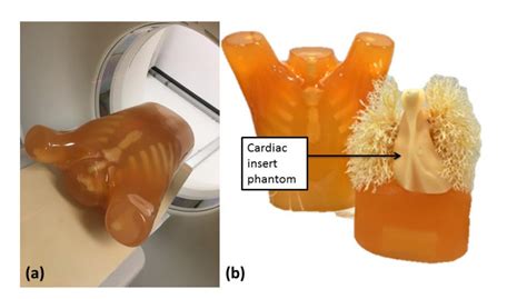Researchers Study The Effectiveness Of D Printing In Cardiac Phantoms DPrint The Voice