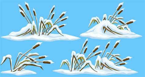 Premium Vector Marsh Reed Grass Under Snow Swamp Cattails Winter