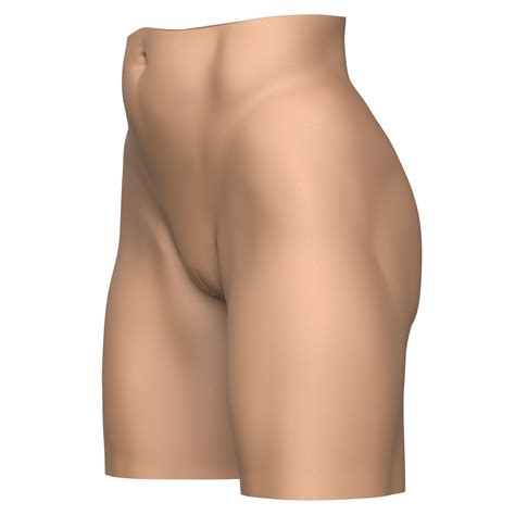 High Detailed 3d Print Ready Woman Vagina 3d Model 3d Printable Cgtrader