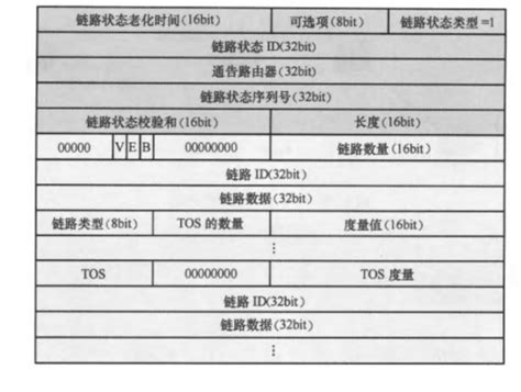 hcip（10）：ospf中的lsa数据包 lsa的三元组是什么啊 csdn博客