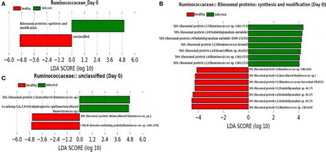 frontiers application of a maximal clique based community detection
