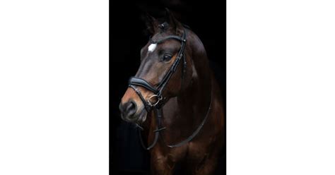 Uzdečka S Měkkým Podložením Ira černá Jezdecké Potřeby Koníkům